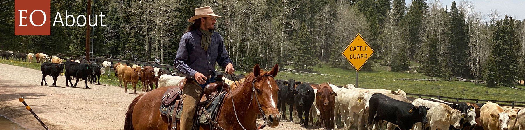 EO About EO – Enchanted Outpost Magazine